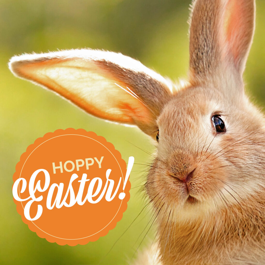 Hoppy Easter - Social Images